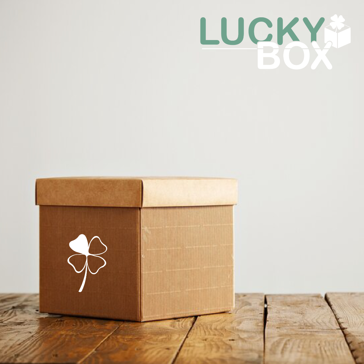 Achetez des Colis Perdus et NPAI - Luckybox